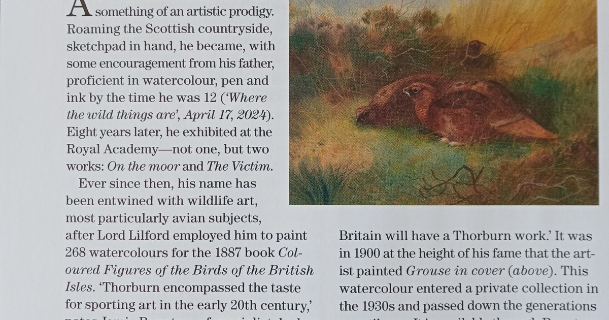 Archibald Thorburn | Rountree Tryon