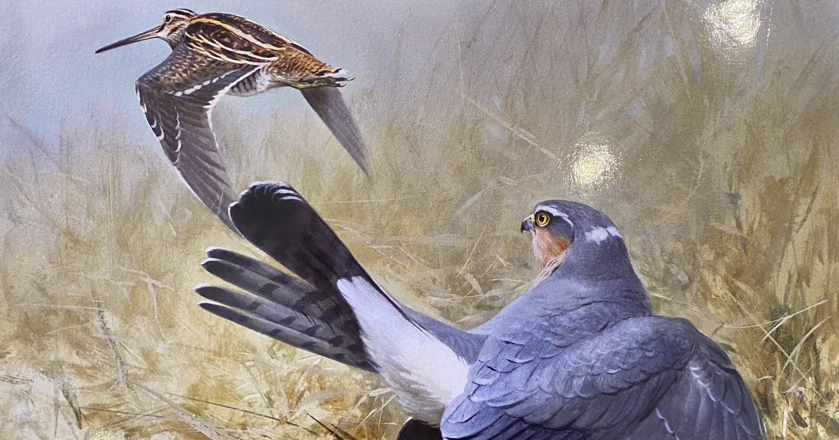 Publication: An Artist by Nature | Rountree Tryon