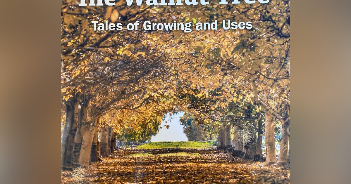 Publication: The Walnut Tree - Tales of Growing and Uses | Rountree Tryon